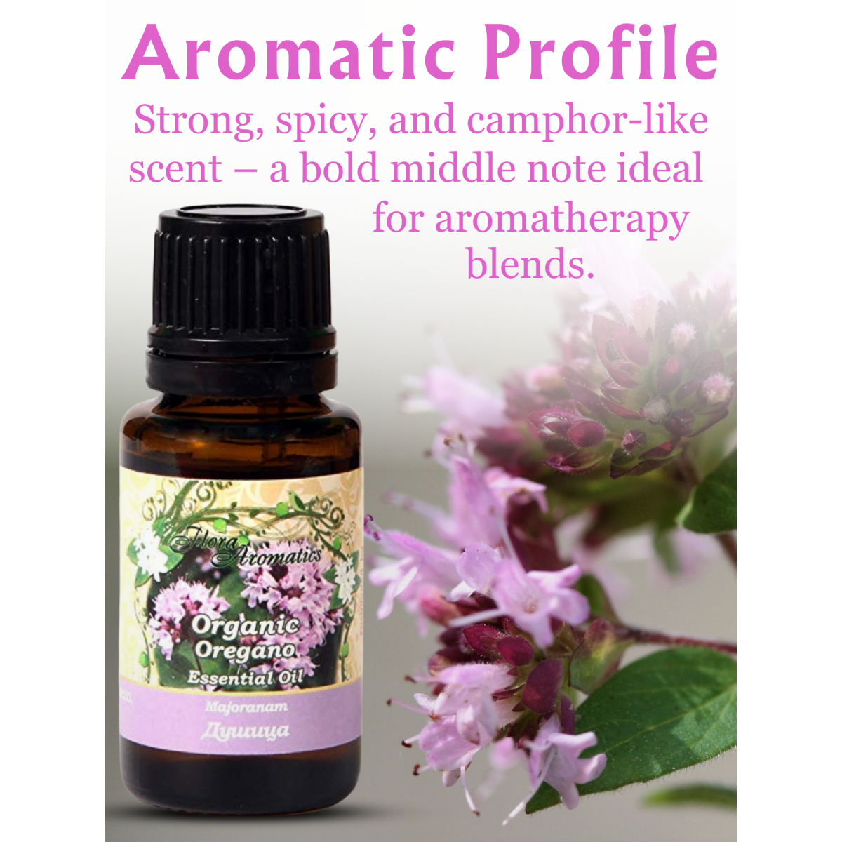 Organic Oregano Essential Oil (Origanum Compactum Benth) | 100% Pure ...